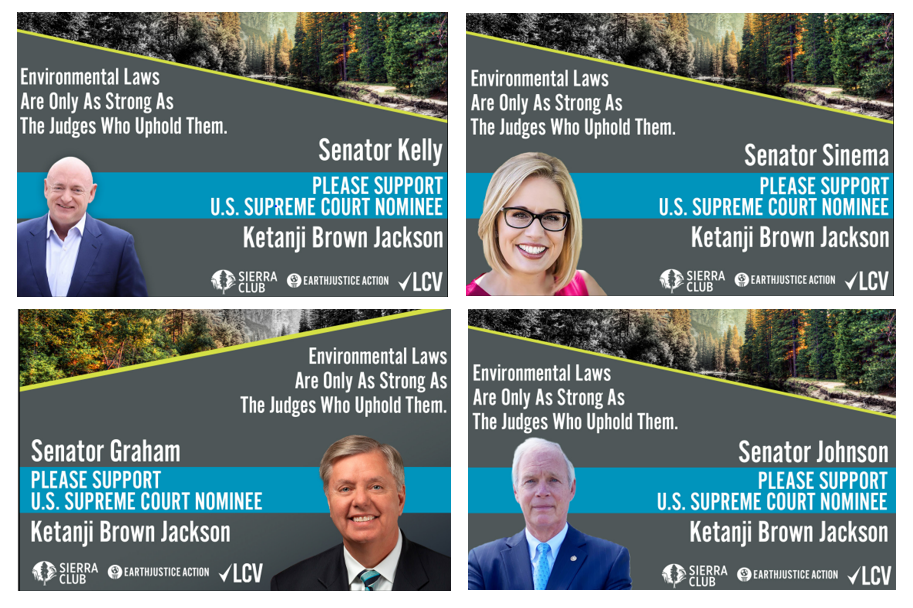 Earthjustice Action Launches Ad Campaign in Key States to Support Judge ...
